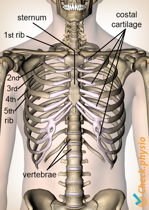 Tietze's syndrome | Physio Check